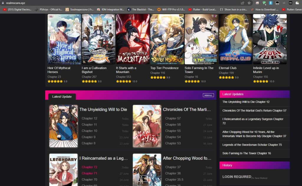 Realm Scans Closure: What's Next For Manga Translation Fans? - Junko Furuta