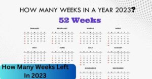 How Many Weeks Left In 2023: A Comprehensive Countdown - Junko Furuta